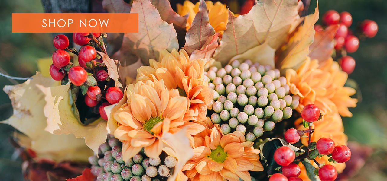 San Lorenzo Florist | Flower Delivery by Nancy's Flowers