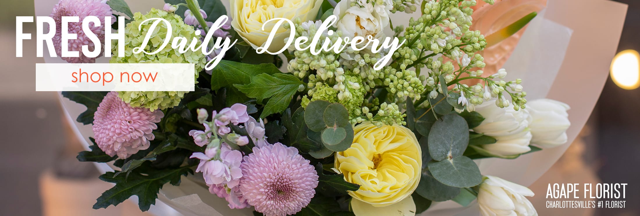 Charlottesville Florist | Flower Delivery by Agape Florist