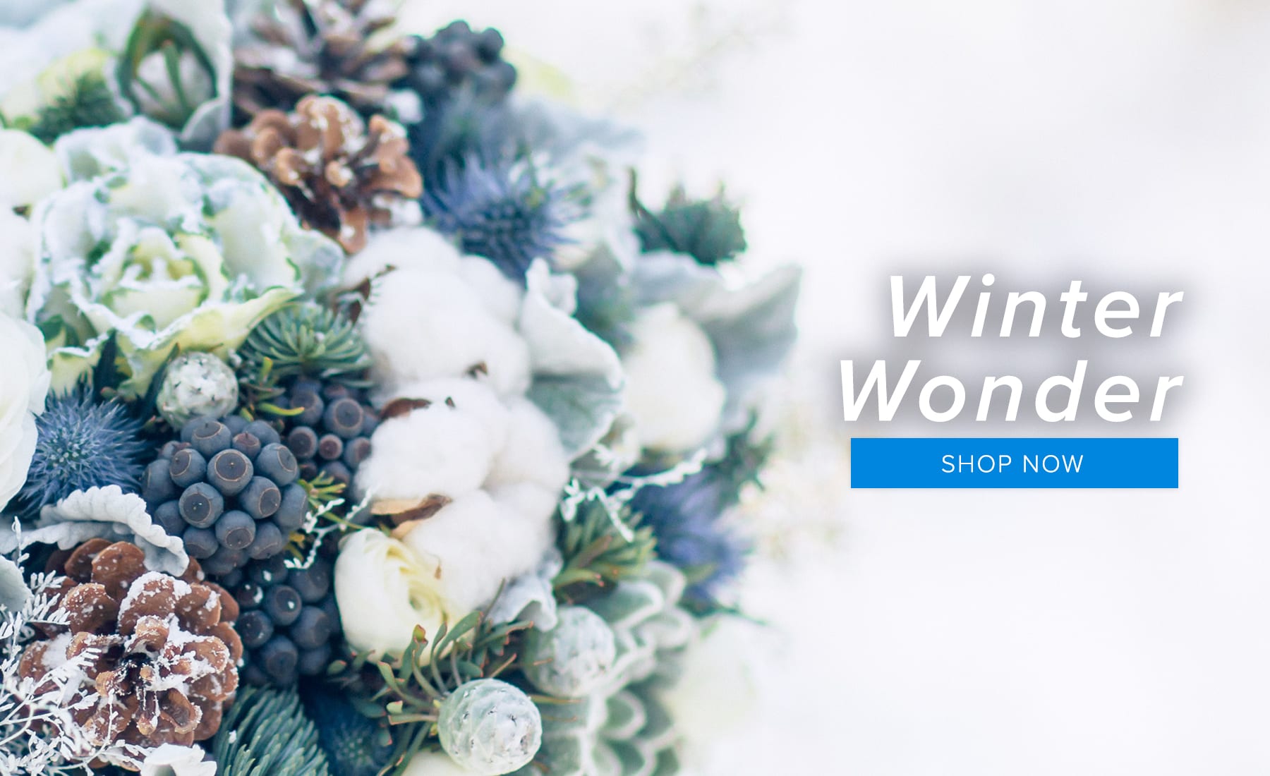 Ten Pennies Florist: Philadelphia Flower Delivery