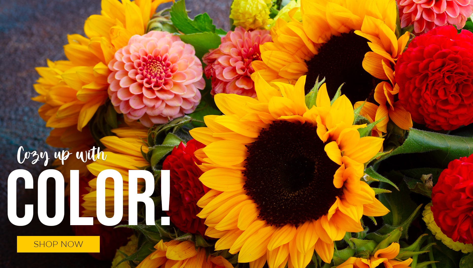 New York Florist | Flower Delivery by Anthony Flowers