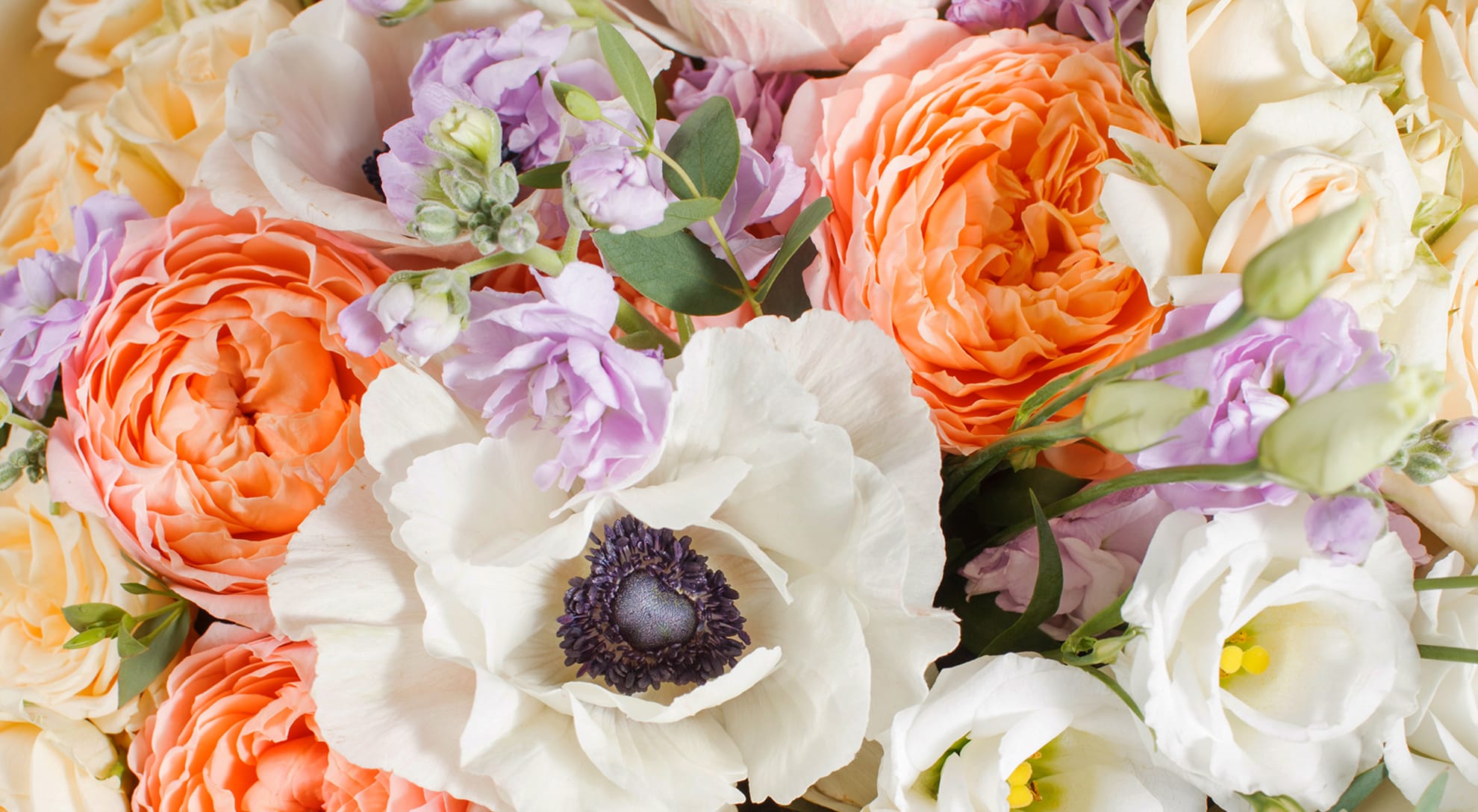 Ogden Florist | Flower Delivery by The Posy Place