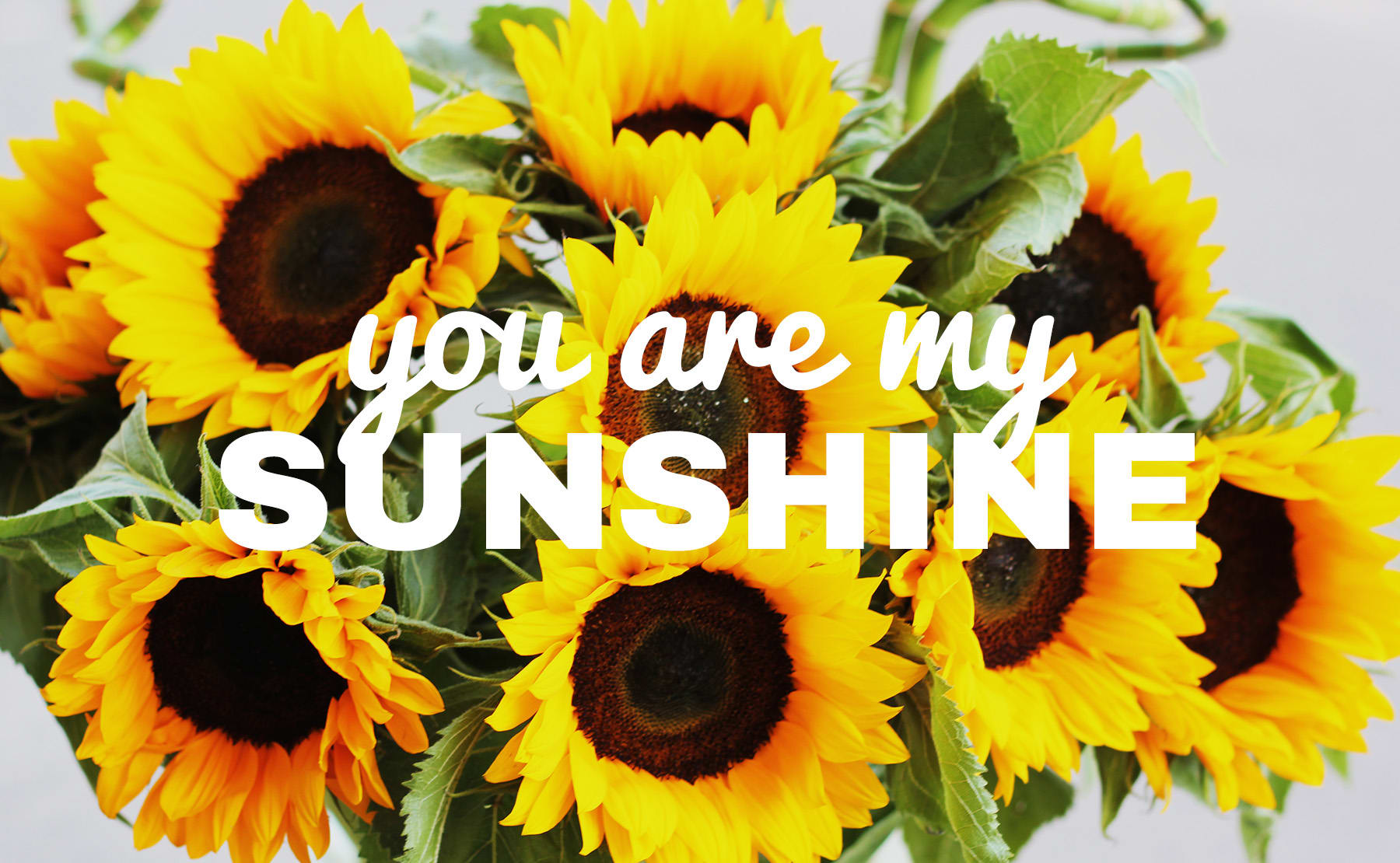 Tulsa Florist | Flower Delivery by FlowerGirls