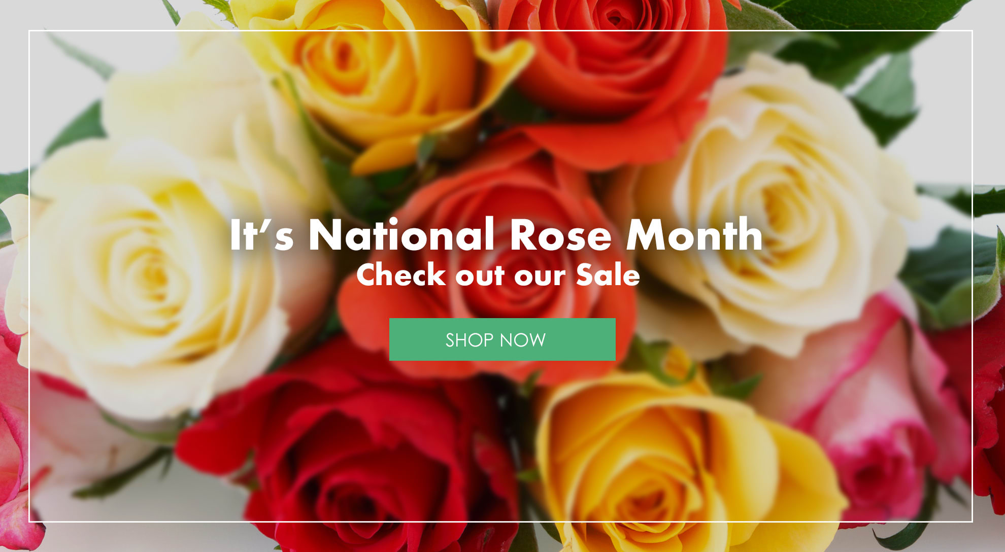 Tulsa Florist | Flower Delivery by FlowerGirls