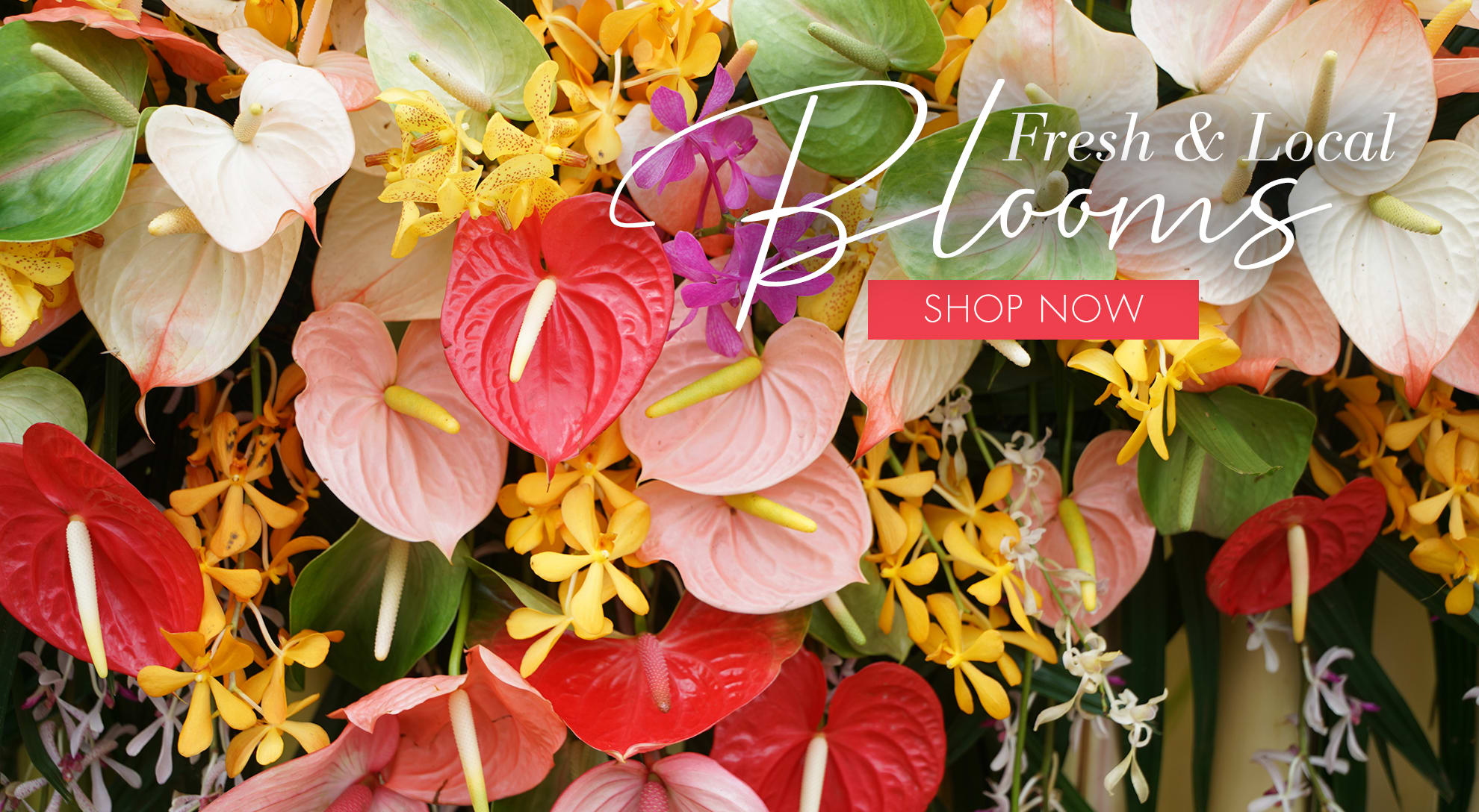 Kealakekua Florist | Flower Delivery by Qina Girl Floral