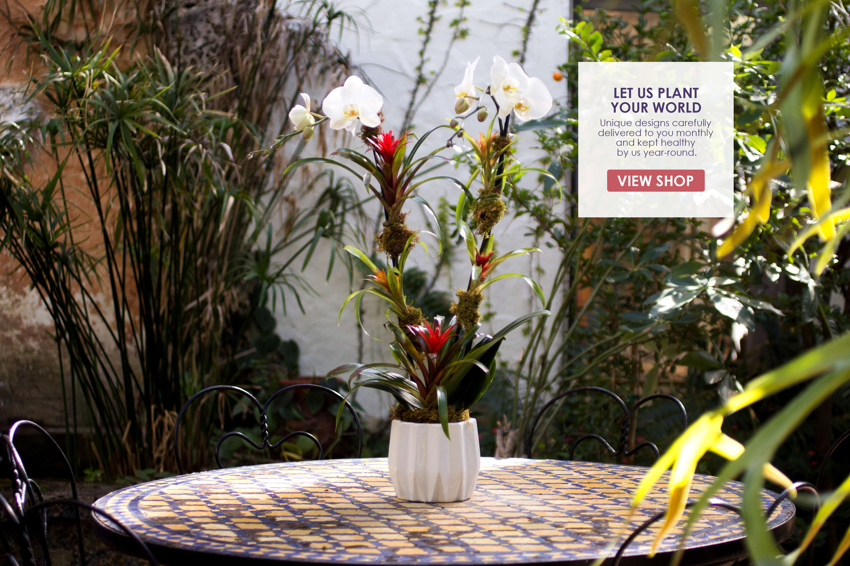 MIAMI Florist | Flower Delivery by Boutique Orchid