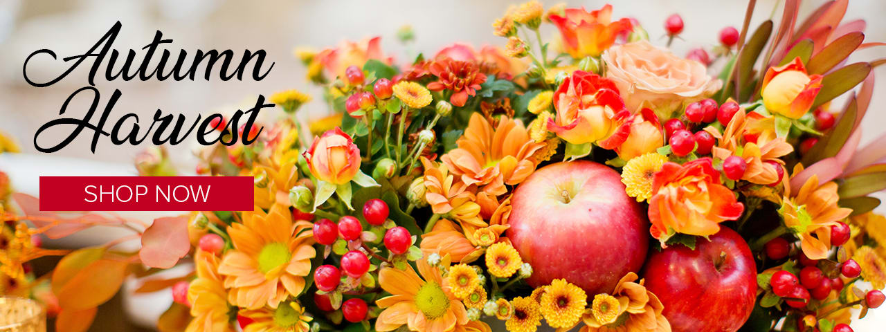 Nottingham Florist | Flower Delivery by Flower Expressions