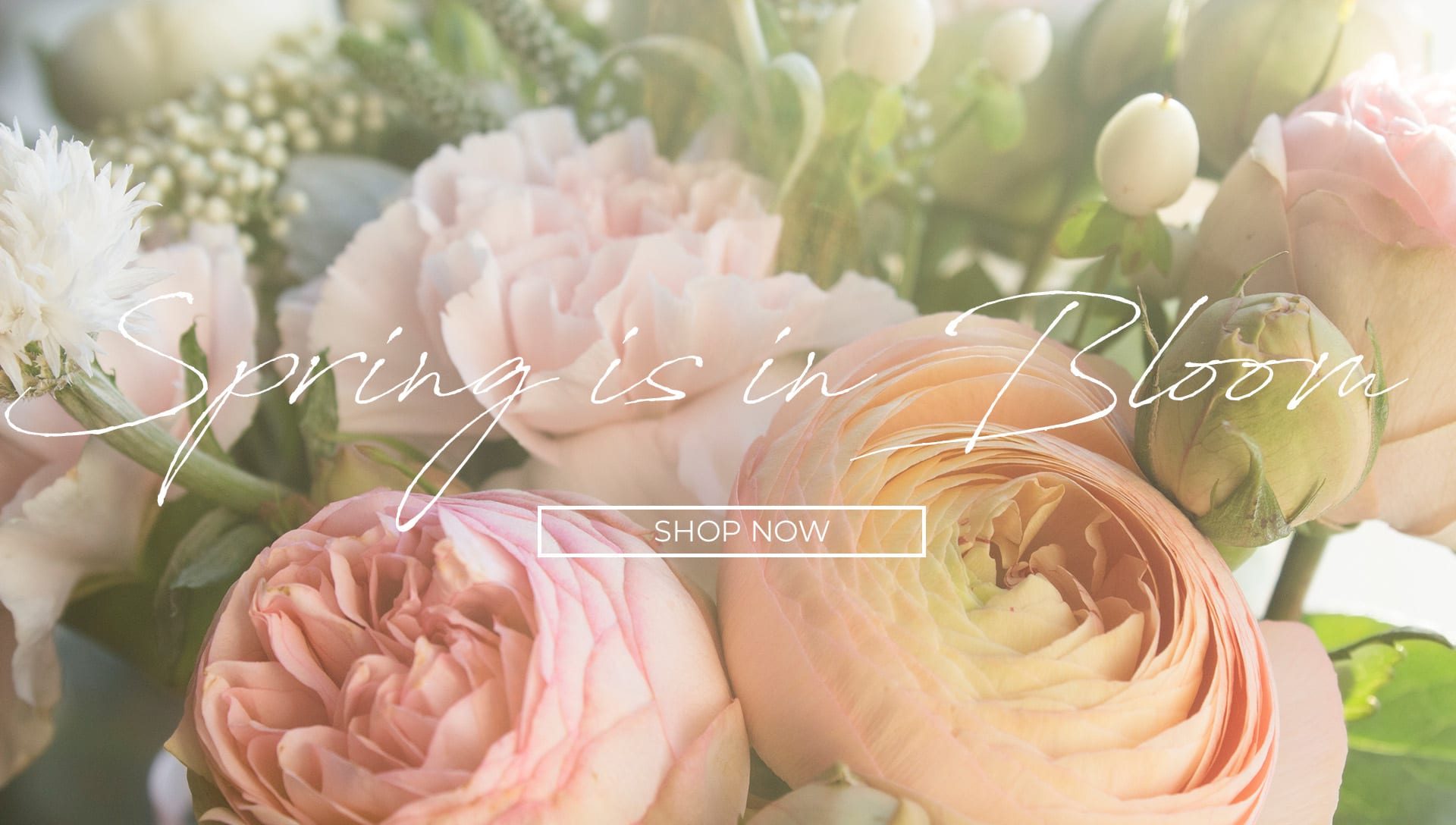 San Francisco Florist | Flower Delivery by Mystic Garden