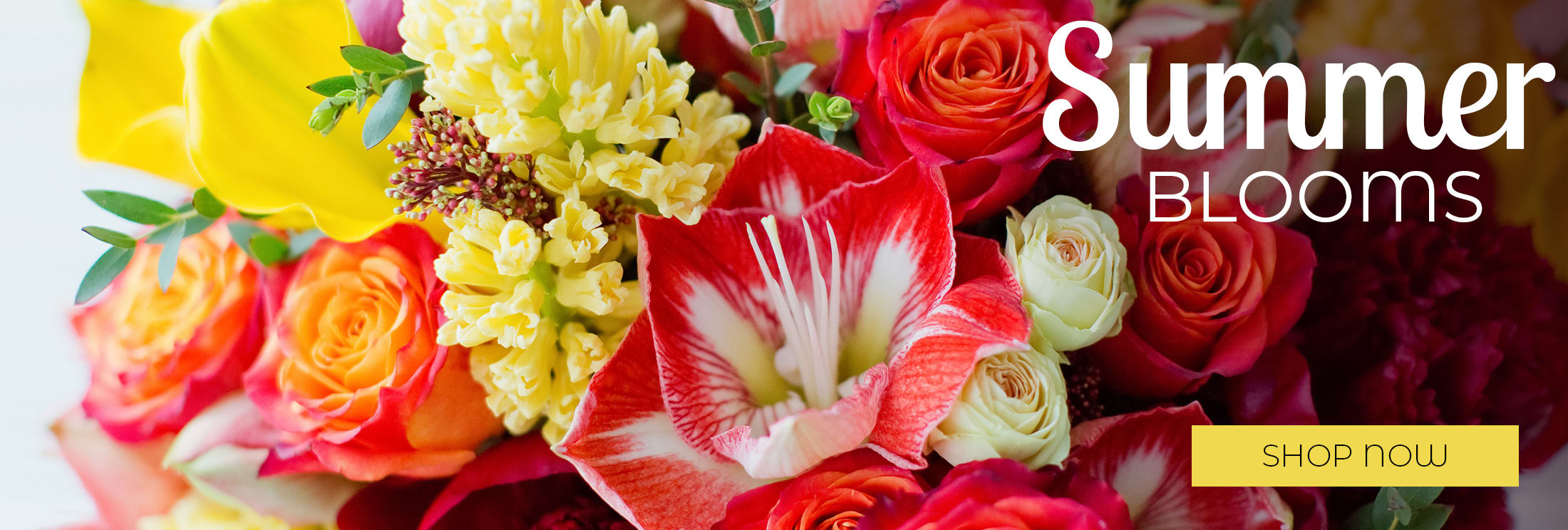 Davis Florist | Flower Delivery by Blooming Boutique Flowers & Gifts