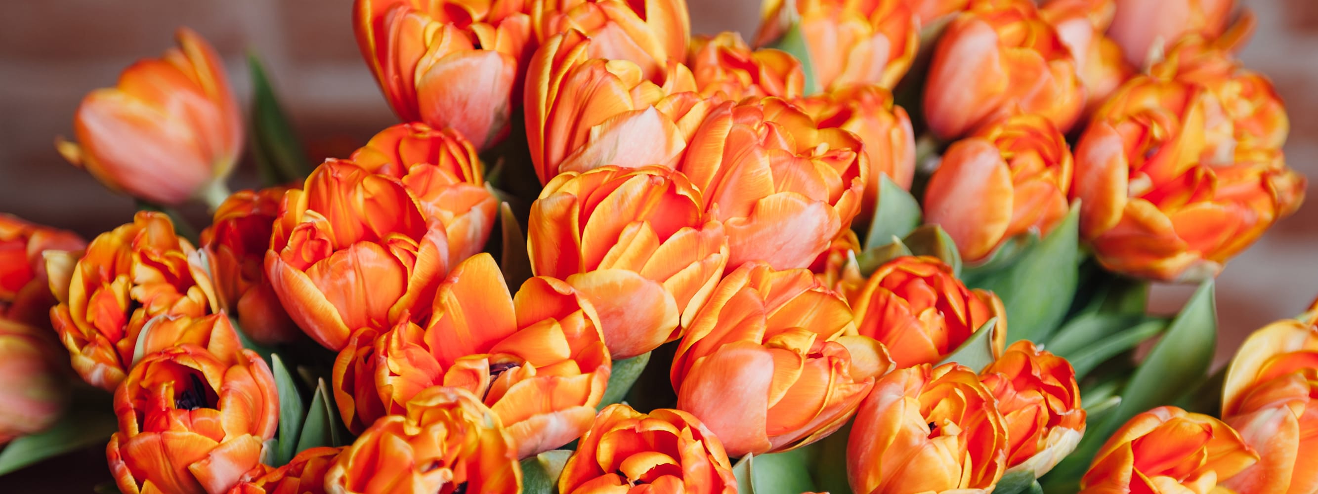 Tucson Florist | Flower Delivery by Bloomie's Flowers