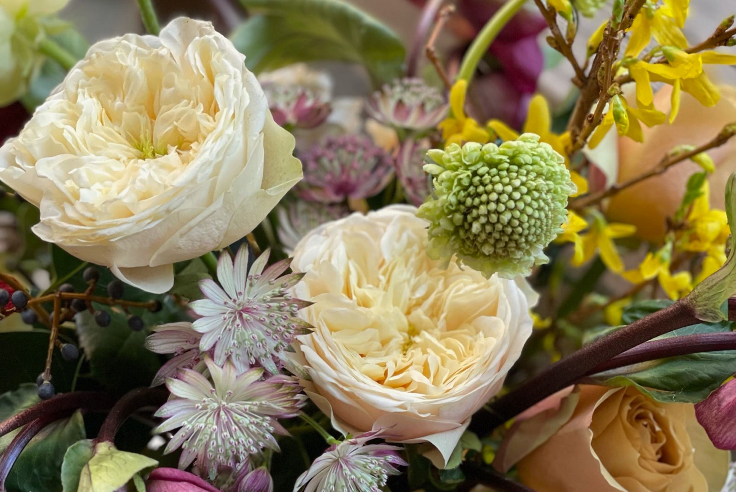 Pasadena Florist | Flower Delivery by Tumbleweed