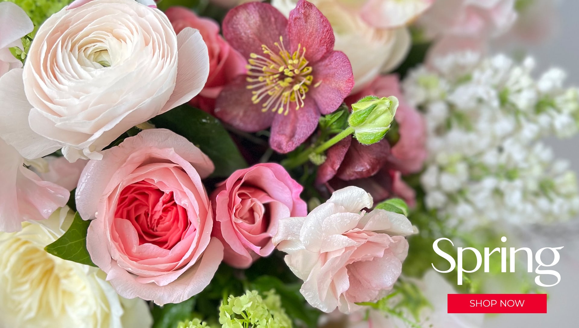 Tulsa Florist | Flower Delivery by Blossom Shoppe