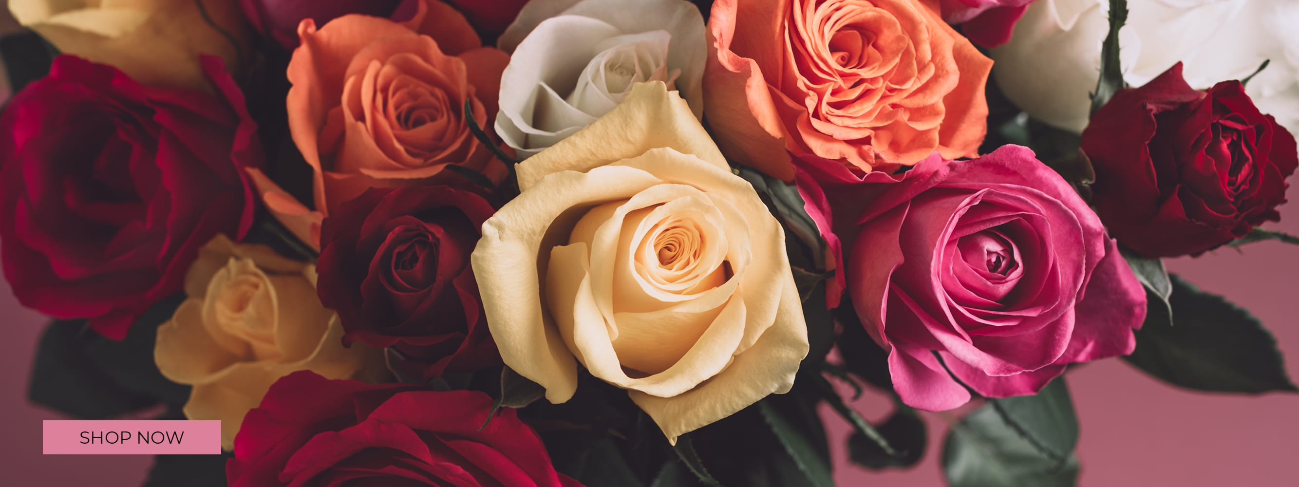 Gastonia Florist | Flower Delivery by Rosario Floreria