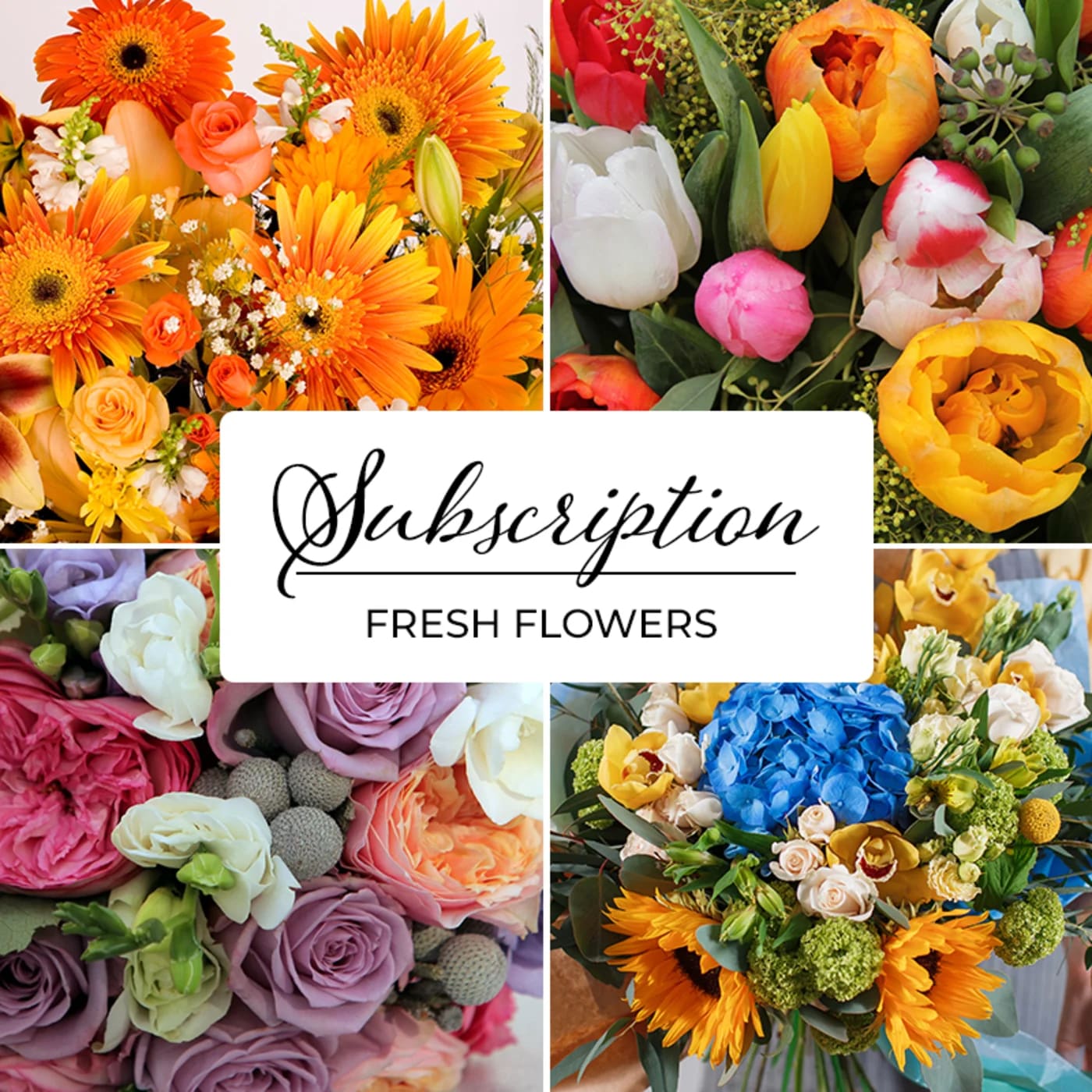 Subscriptions | Morningside Florist