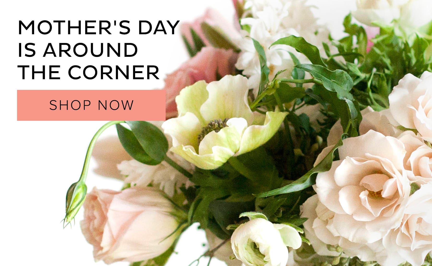 Olympia Florist | Flower Delivery by Specialty Floral Design