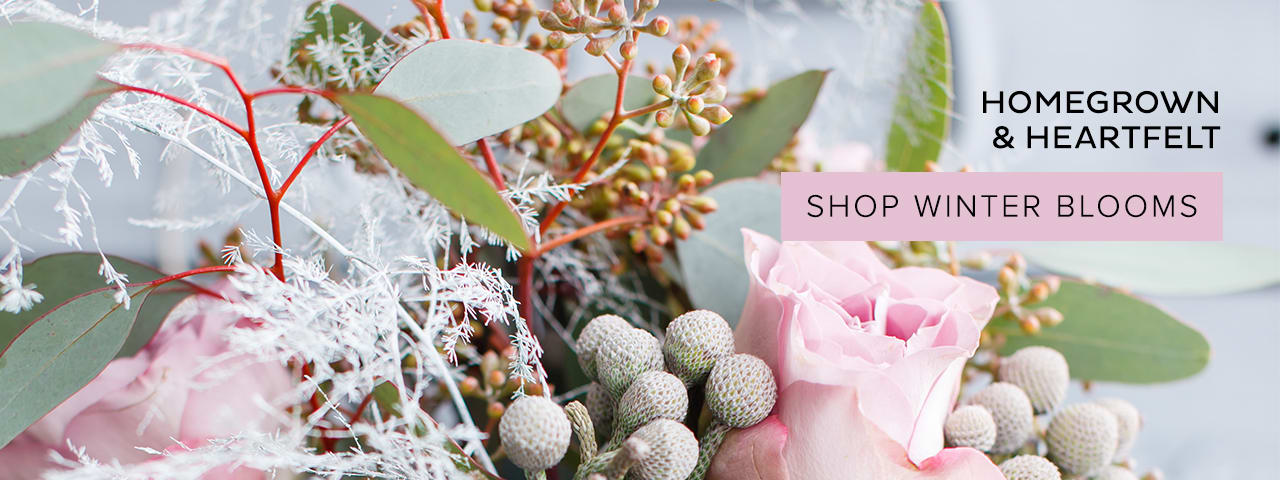 Fort Lauderdale Florist | Flower Delivery by Brigitte's Flowers Galore