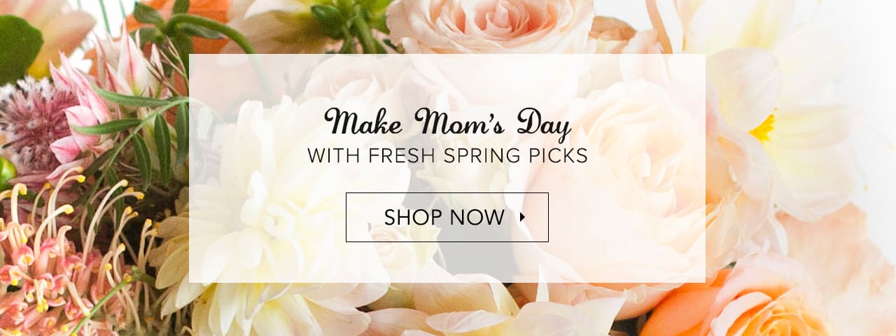 Belmont Florist | Flower Delivery by Jayne's Flowers