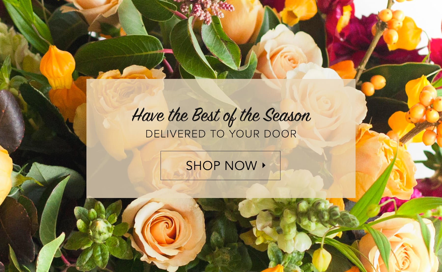 Newton Florist | Flower Delivery by Busy Bee Flowers