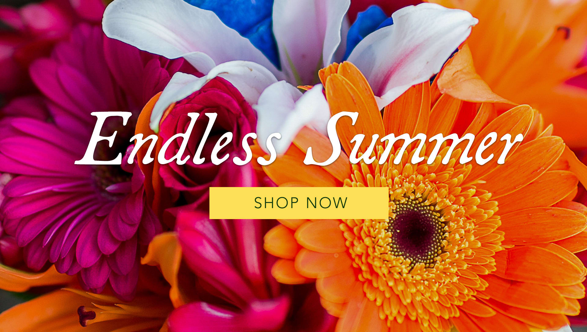 St George Florist | Flower Delivery by The Flower Market