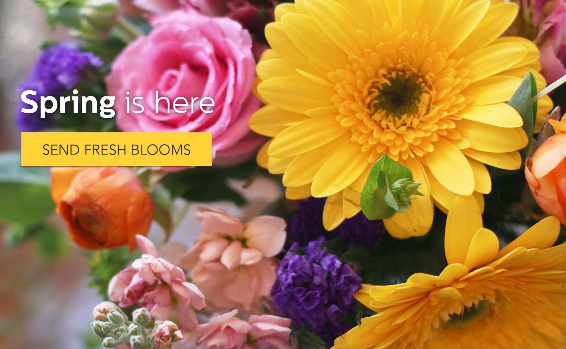 St George Florist | Flower Delivery by Blooms by Twilight Creative Designs