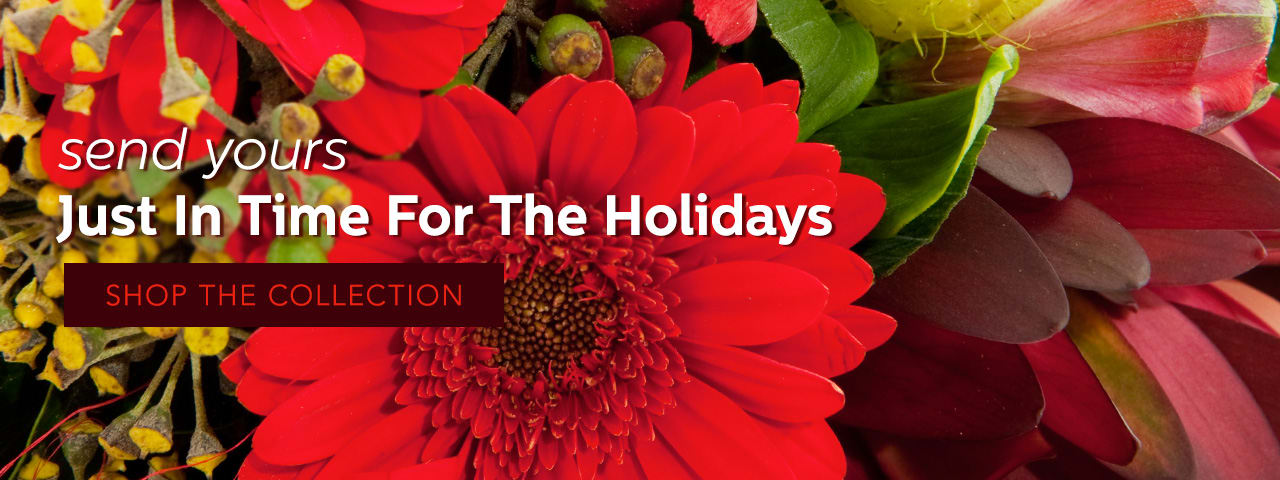 Anderson Florist | Flower Delivery by Anderson Florist