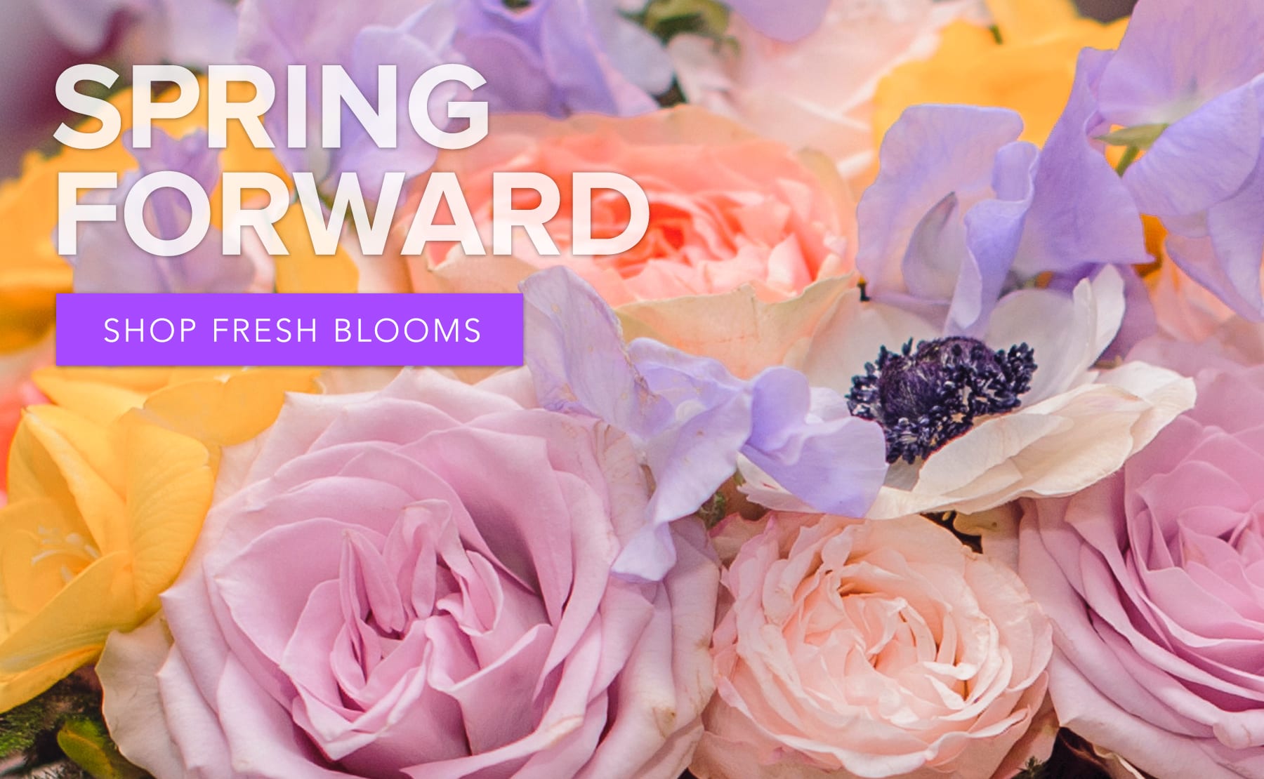 Miami Florist | Flower Delivery by Miami Flowers