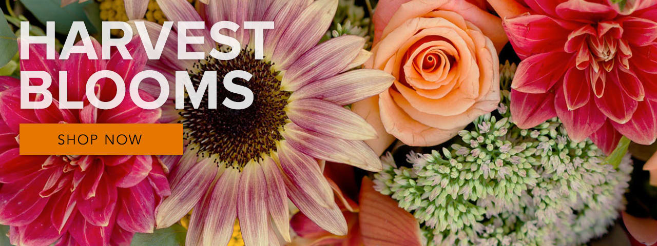 Waterloo Florist | Flower Delivery by Bountiful Blossoms