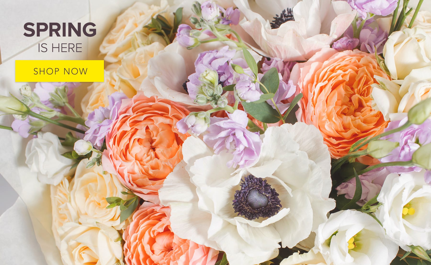 Gainesville Florist | Flower Delivery by The Plant Shoppe Florist