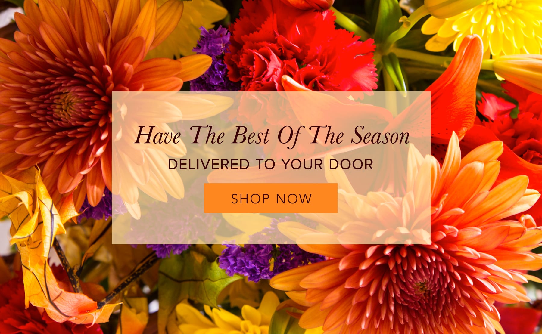 Olympia Florist | Flower Delivery by Specialty Floral Design