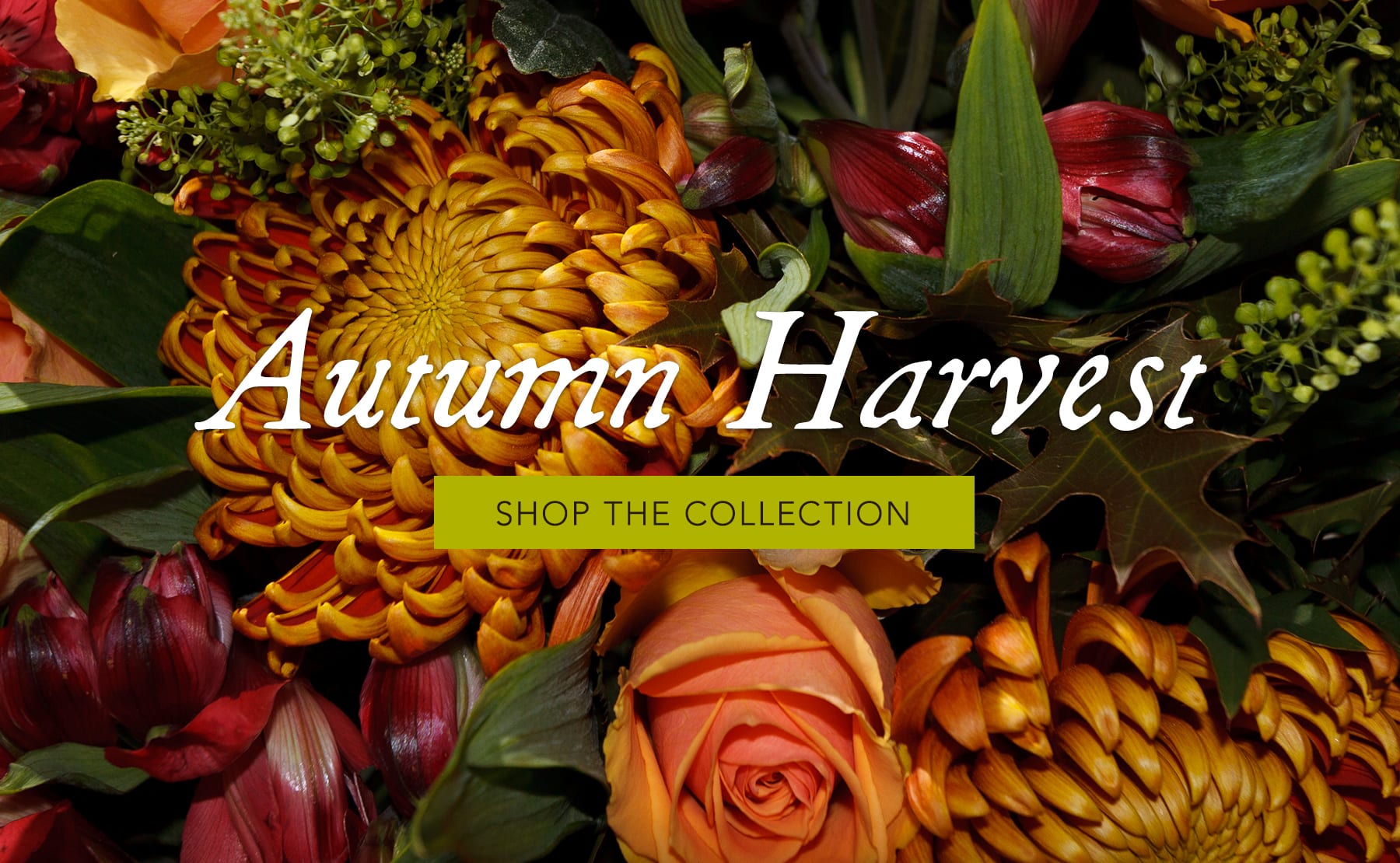 Statesboro Florist | Flower Delivery by Frazier's Flowers and Gifts