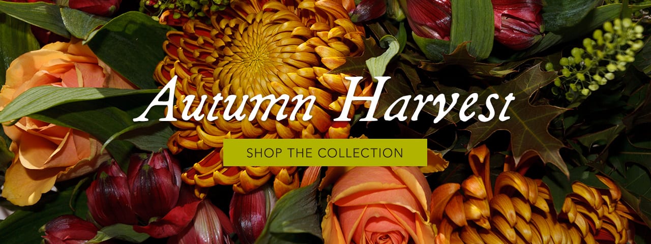 Pasadena Florist | Flower Delivery by The Flowerman, Inc.