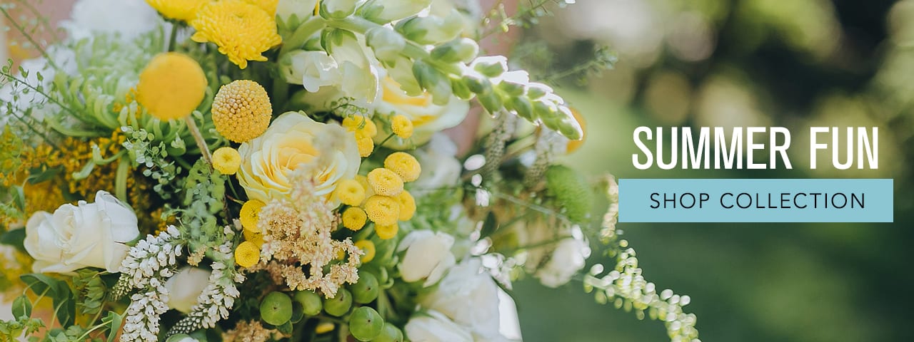 Brighton Florist | Flower Delivery by Art In Bloom