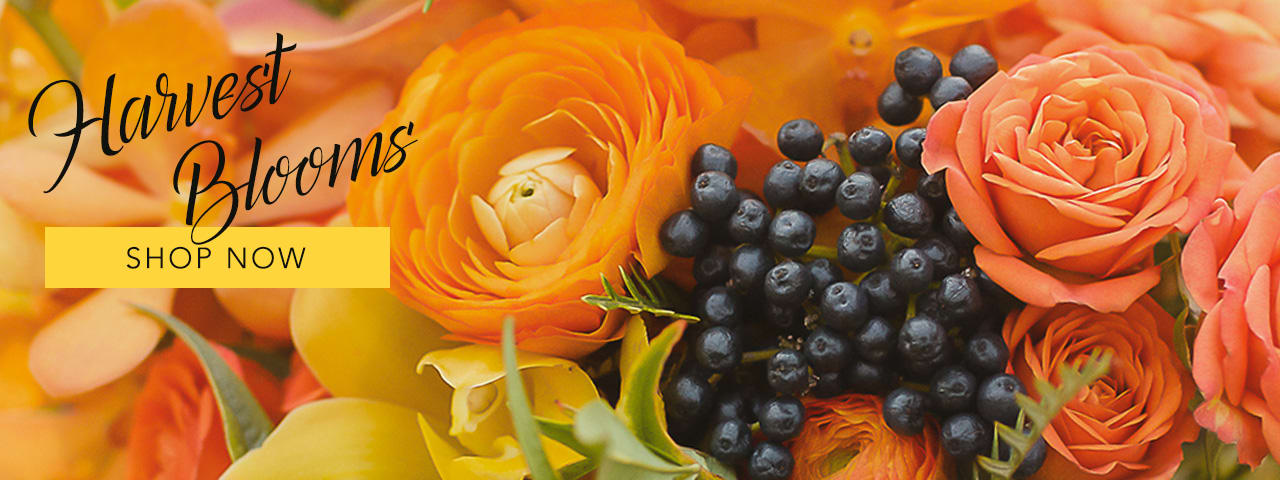 San Francisco Florist | Flower Delivery by Fillmore Florist San Francisco