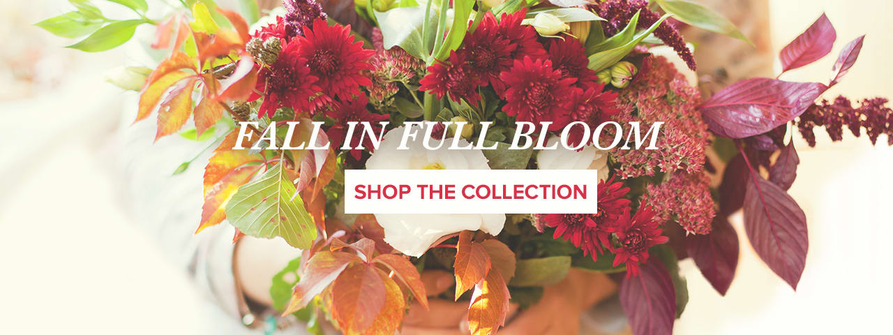 Baltimore Florist | Flower Delivery by Baltimore Blossoms Studio